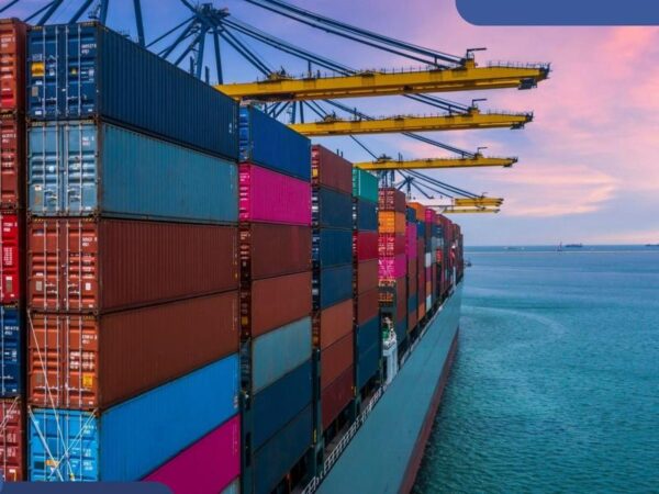 Shipping line là gì? Vai trò của shipping line trong logistics là gì?