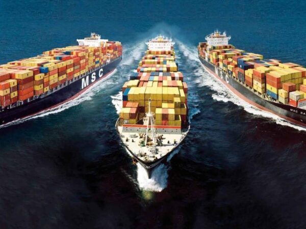 Shipping line là gì? Vai trò của shipping line trong logistics là gì?